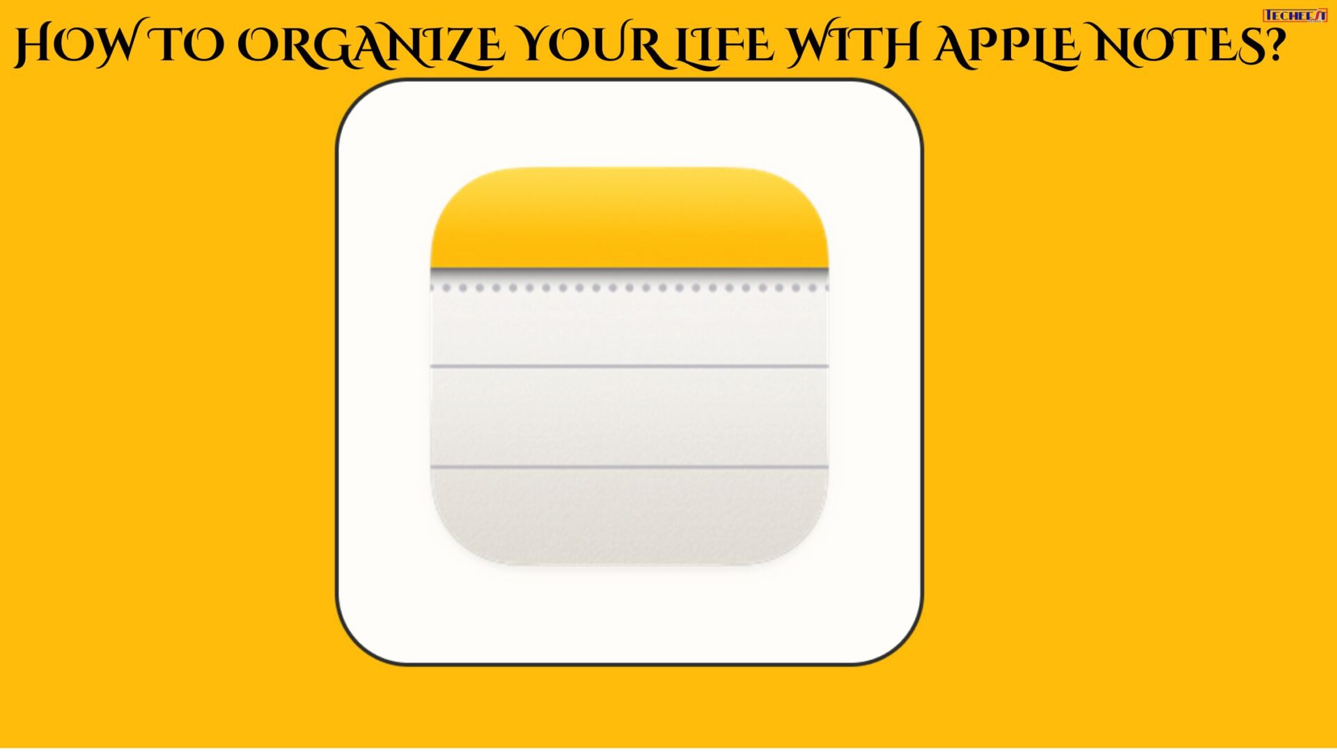How to Organize Your Life with Apple Notes?